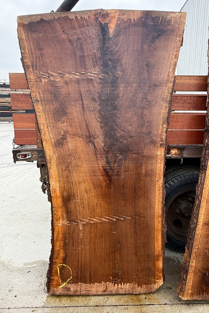 Walnut Slab D – Bohnhoff Lumber